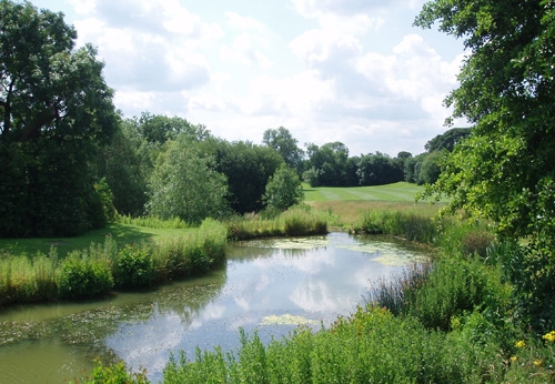 Membership Types - CMGC